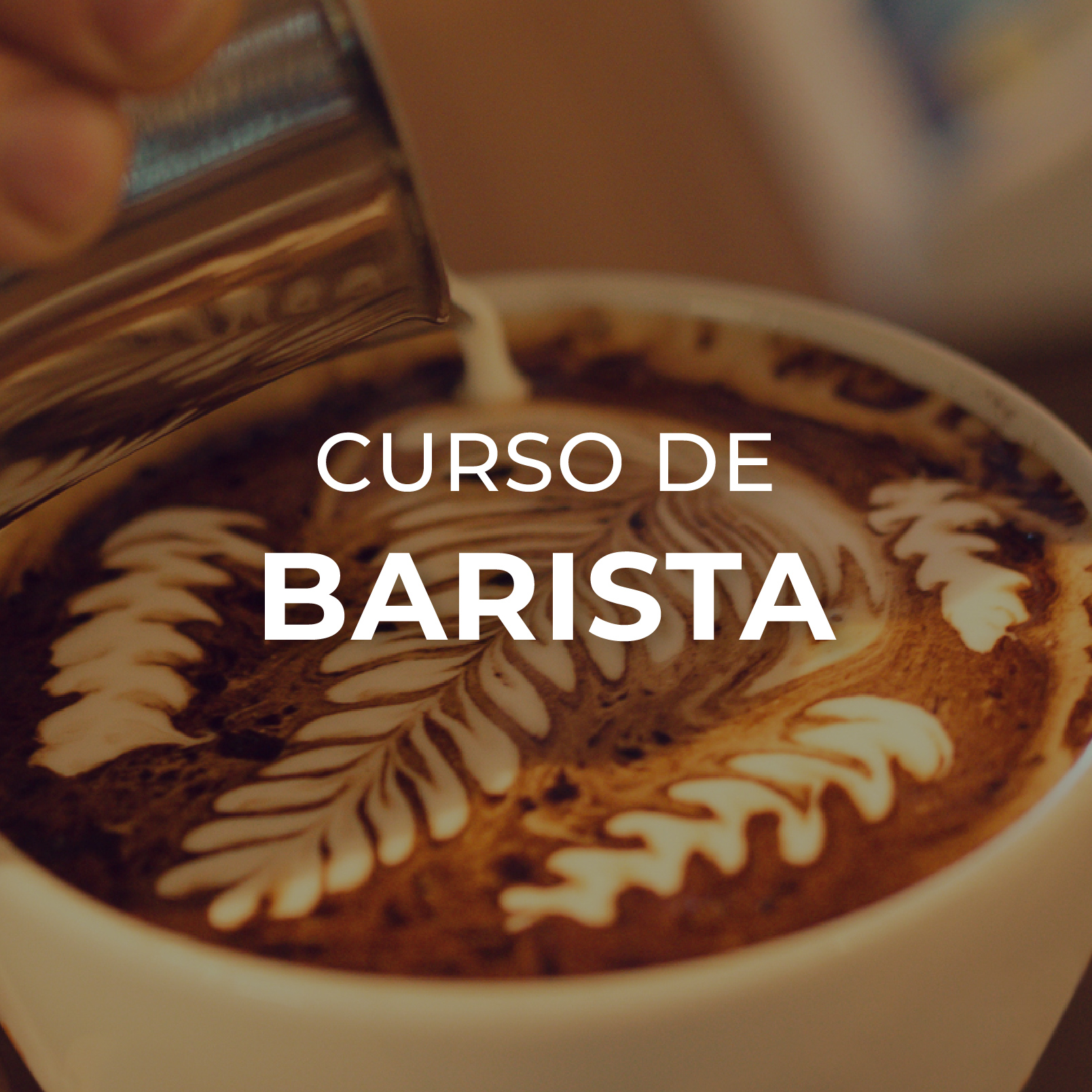 Curso de Café y Barismo. Formación Online y Semipresencial