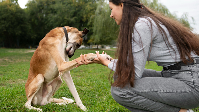 Come interpretare il linguaggio del corpo del cane