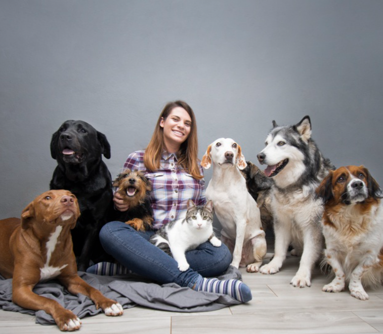 Come scegliere un cane: guida alle razze per la pet therapy